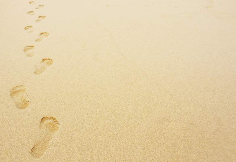 The Footprints Residential Survey 2025 from Phoenix Futures - Drink and ...